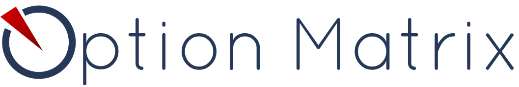 Option Matrix - Technology Consulting Firm Specializing in Custom ...