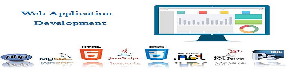 Web Application Development Company - Siachen