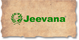 Jeevana Kerala Ayurvedic Center - Ayurvedic treatments for all kinds of ...