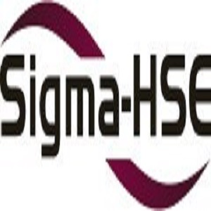 Sigma-HSE - Fast-Growing Organisation in the Fields of Process Safety ...