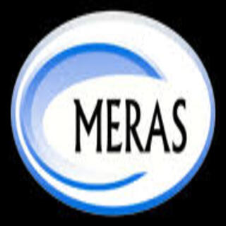 MERAS Consulting - Tailored regulatory affairs consulting services ...