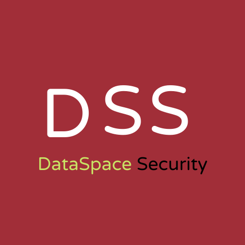 Data Space Security - Cybersecurity Consulting; face Cybersecurity ...
