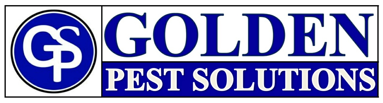 Golden Pest Solutions - Best Pest Control Services at the Best Price ...