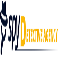 Spy Detective Agency - Private Detective Agency Providing Top Secret ...