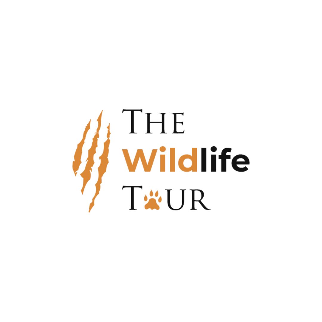 Wildlife Wonders - Explore India's diverse wildlife on immersive tours ...