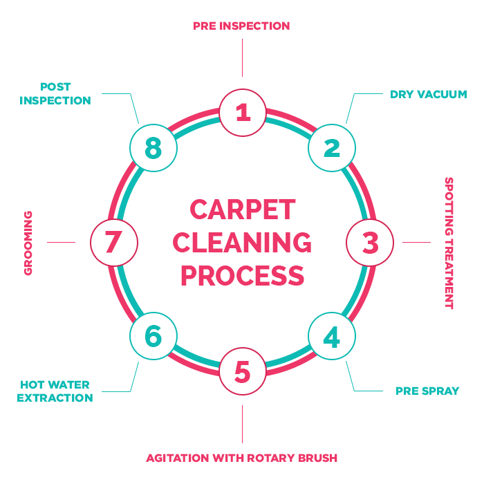 carpet-cleaning-process - Siachen